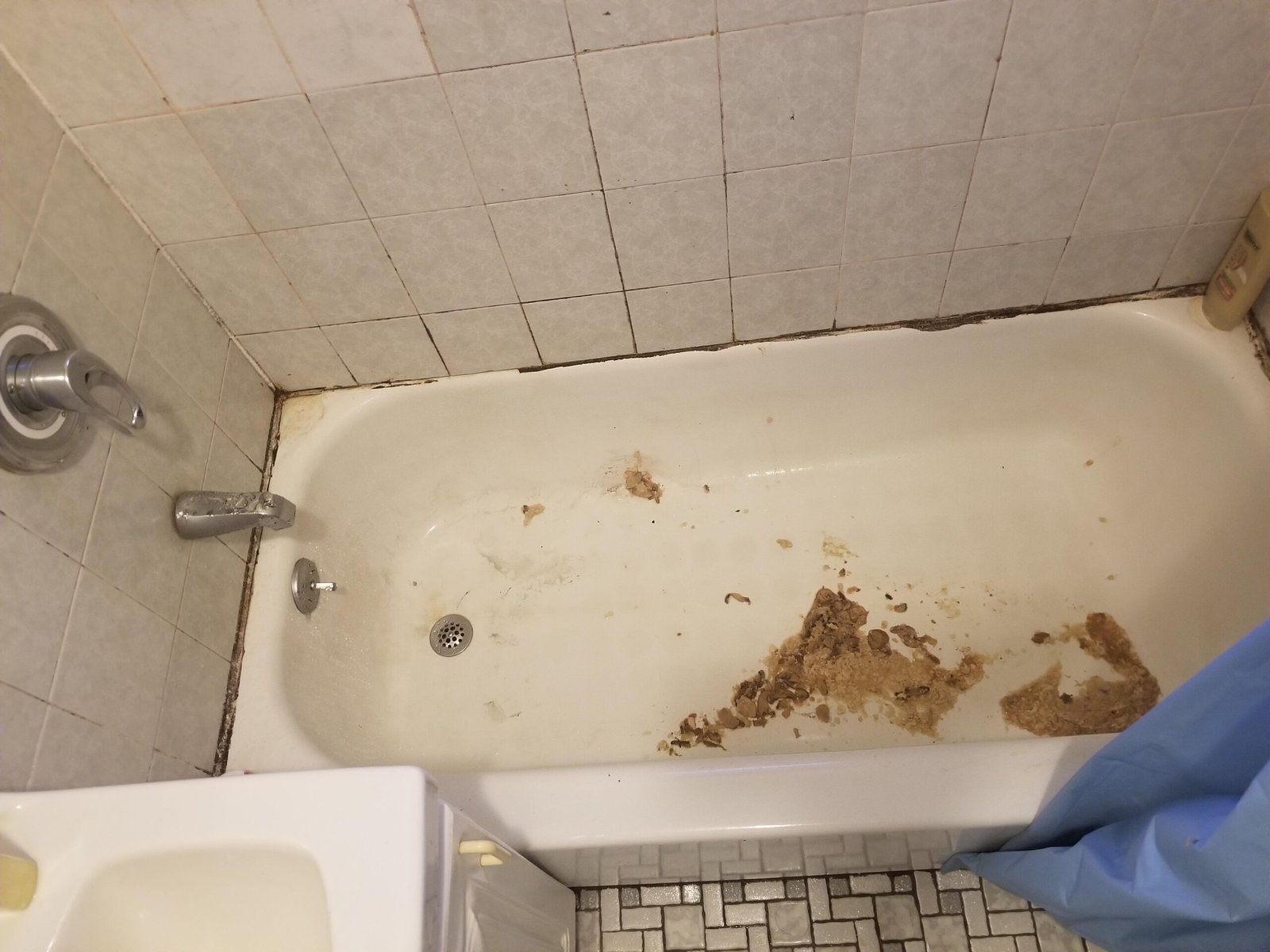 How to Clean Vomit Out of Shower Drain: Quick & Easy Fixes