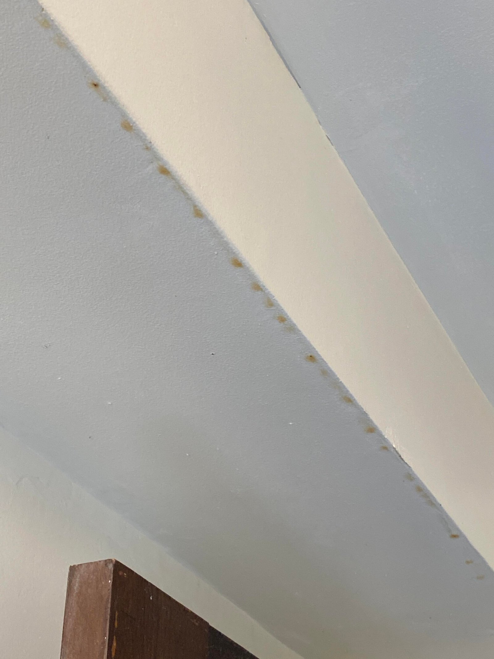How to Clean Yellow Spots on Bathroom Ceiling: Quick Fixes!