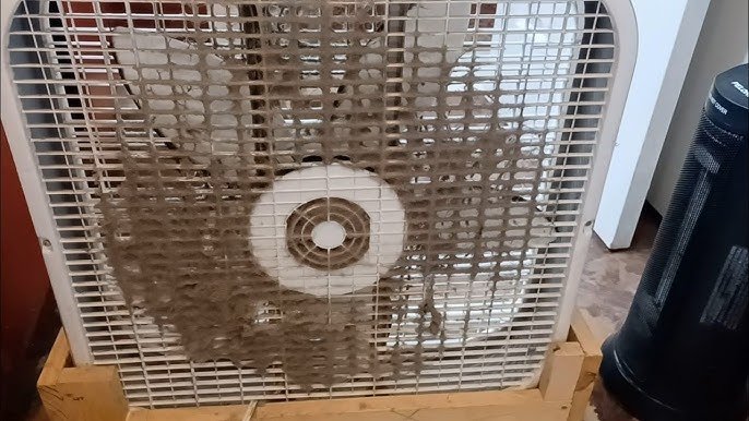 How to Clean a Box Fan Without Taking It Apart: Easy Tips