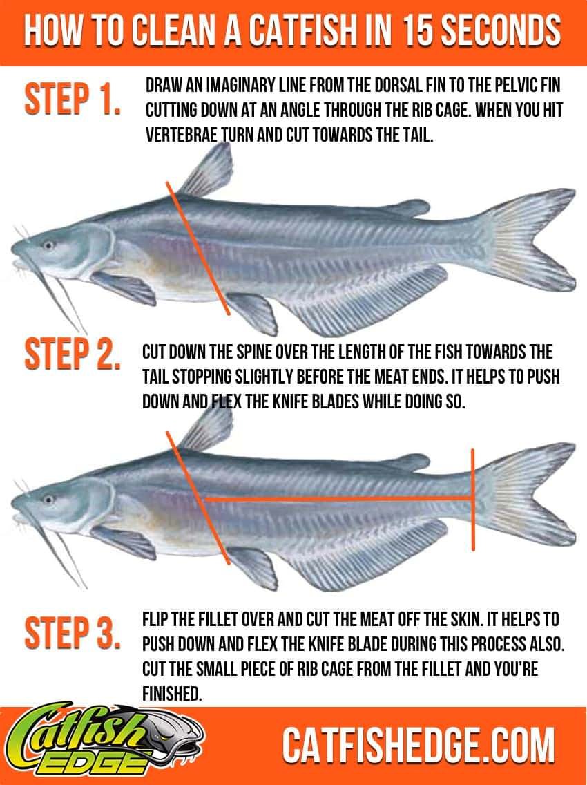 How to Clean a Catfish in 15 Seconds: Quick & Easy Guide