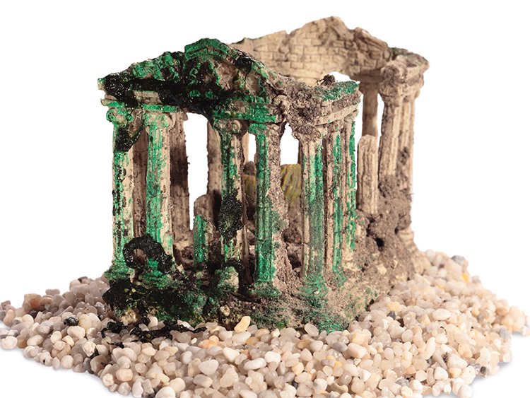 How to Clean Algae off Aquarium Decorations: Expert Tips