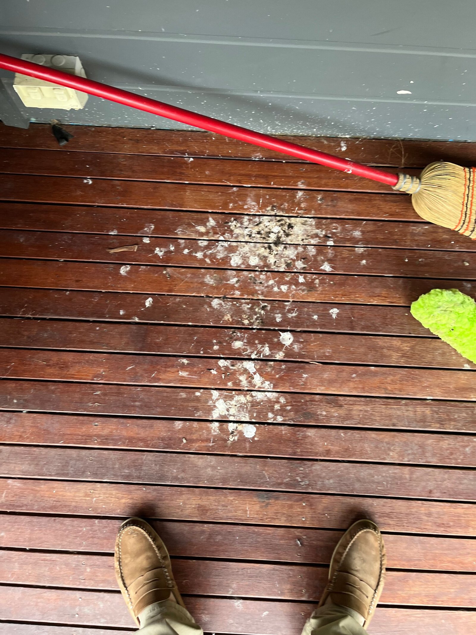 How to Clean Bird Poop off Wood: Expert Tips & Tricks