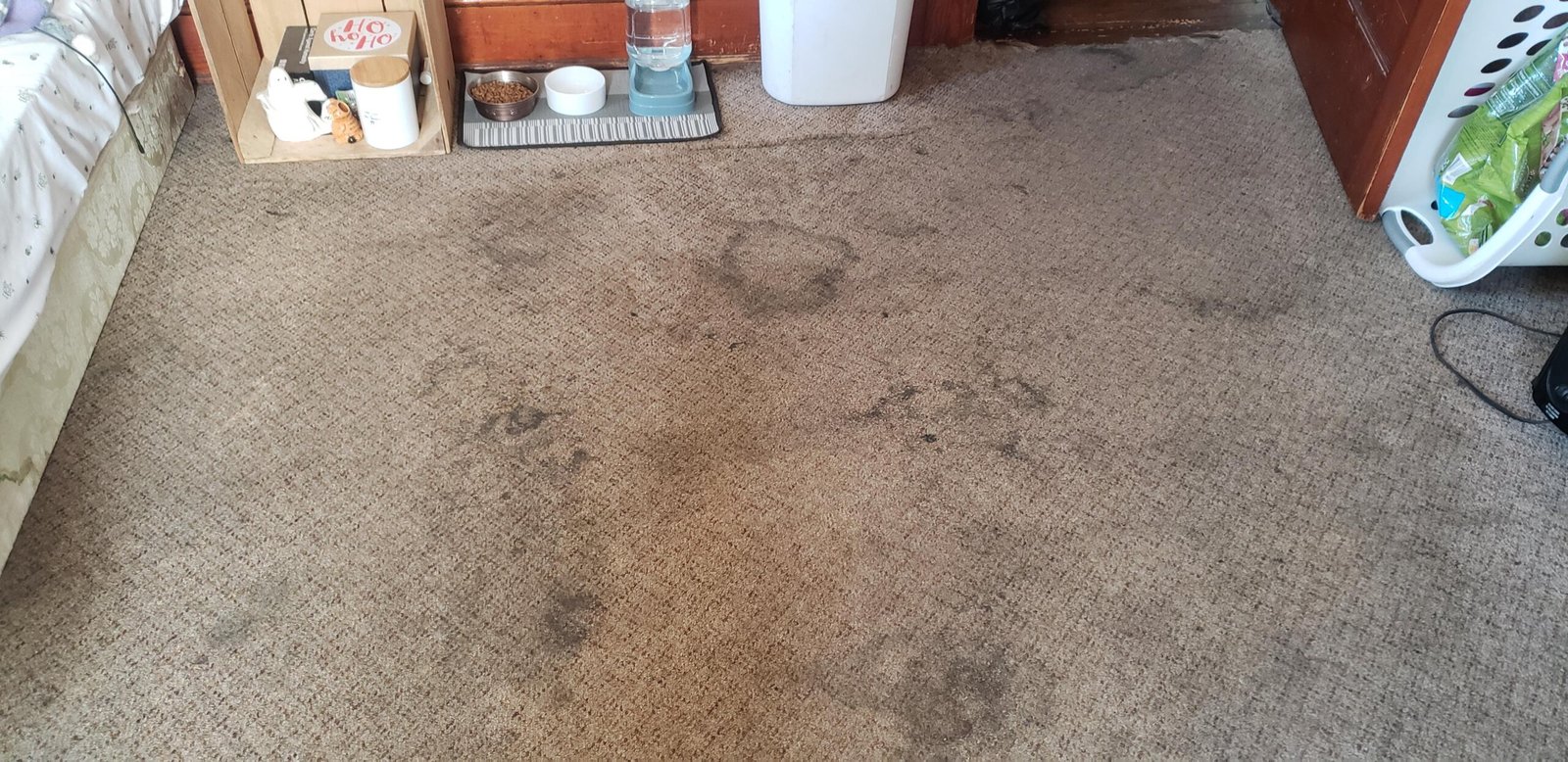 How to Clean Disgusting Carpet by Hand