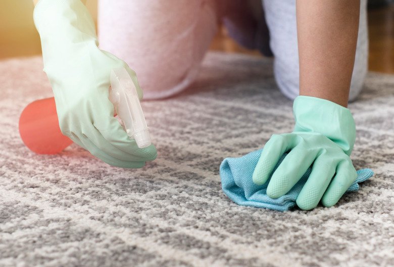 How to Clean Human Feces from Carpet: Expert Tips