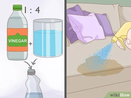 How to Clean Human Urine from Couch: Expert Tips and Tricks