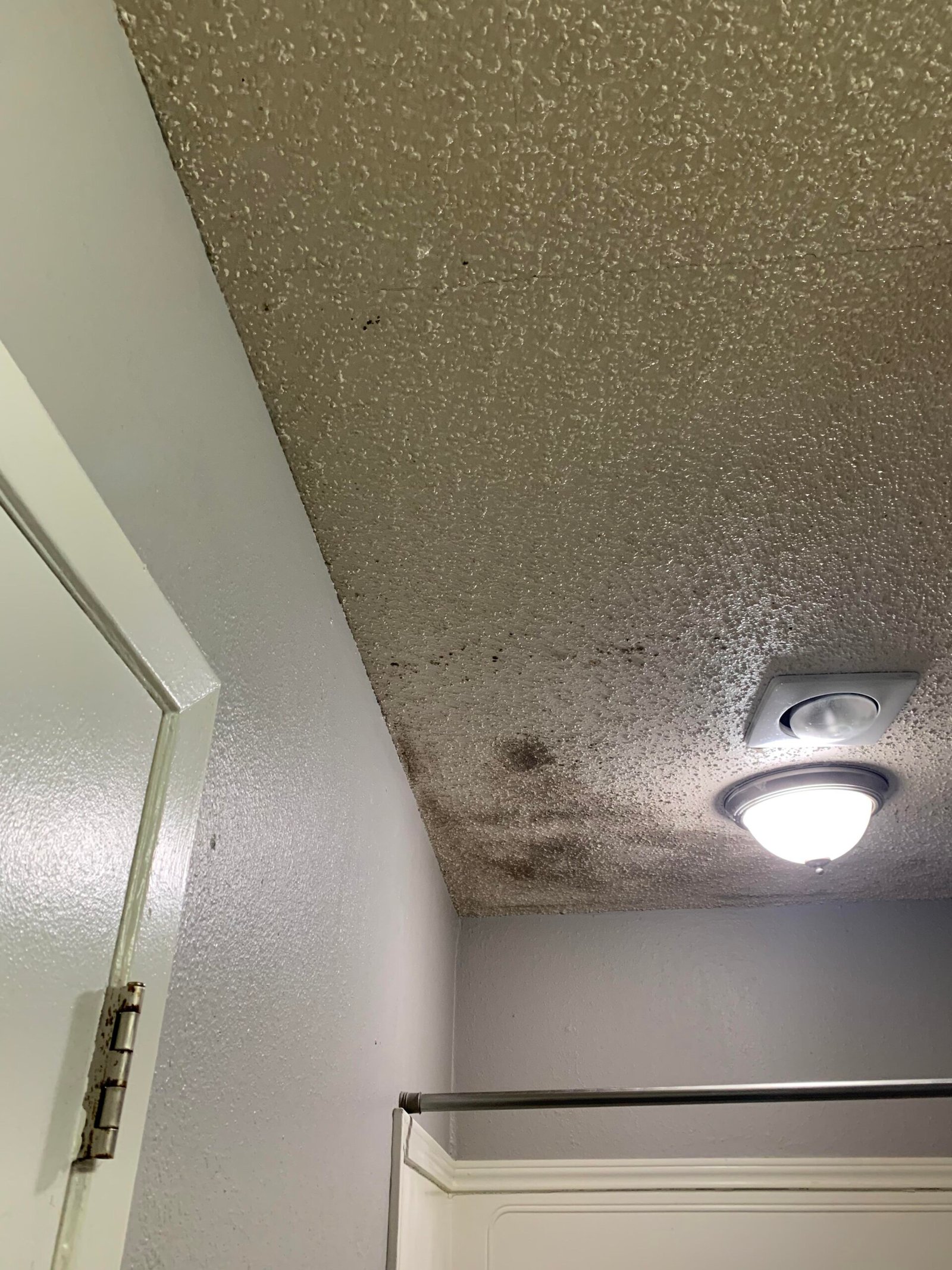 How to Clean Mold off Popcorn Ceiling: Expert Tips and Tricks
