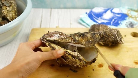 How to Clean Oyster Shells for Crafts: Step-by-Step Guide