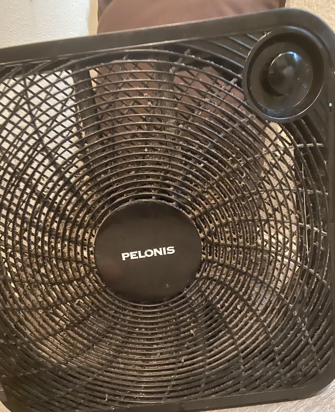 How to Clean Pelonis Fan: Expert Tips for a Spotless Finish