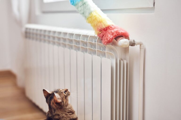 How to Clean Radiator: Step-by-Step Guide for Sparkling Results