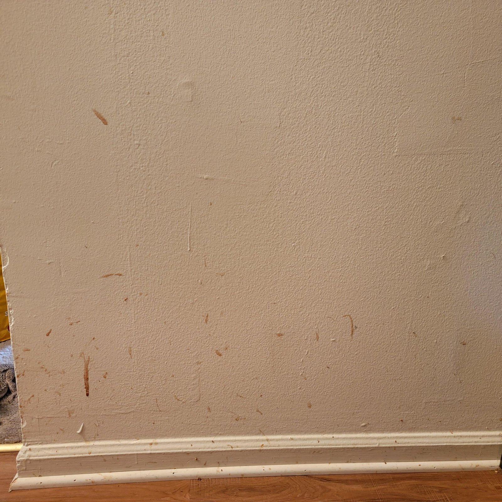 How to Clean Snot off Walls: Expert Tips and Tricks
