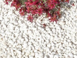 How to Clean White Rocks: Expert Tips for Pristine Stones